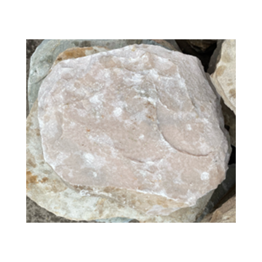 Natural Finish Cream/Pink Stepping Stone – Blue Grass Nursery & Garden ...