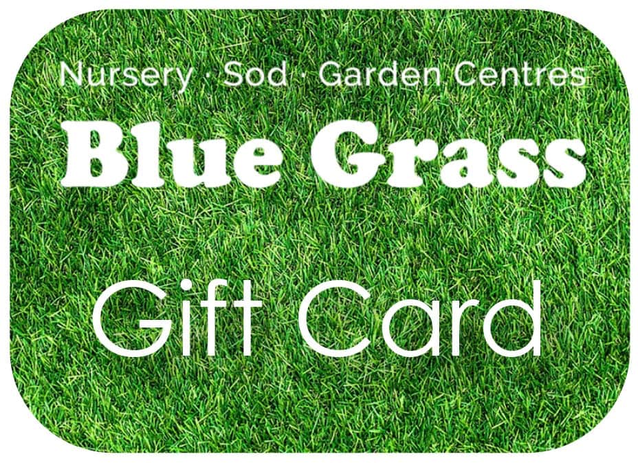 Blue Grass Gift Card $50 In-Store Pick-up – Blue Grass Nursery & Garden ...