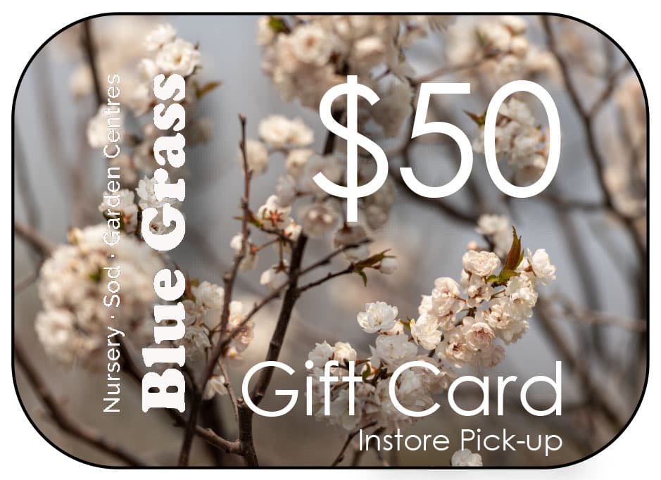 Blue Grass Gift Card $50 In-Store Pick-up – Blue Grass Nursery & Garden ...