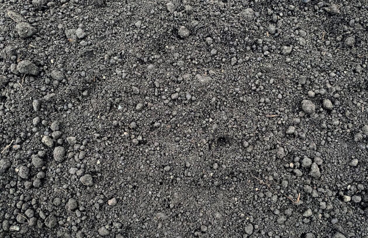 Screened Loam – Bulk – Blue Grass Nursery & Garden Centre: Calgary ...