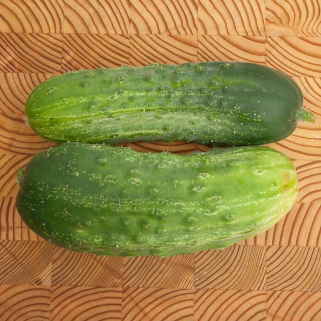 Homemade Pickles Cucumber West Coast Seeds – Blue Grass Nursery ...