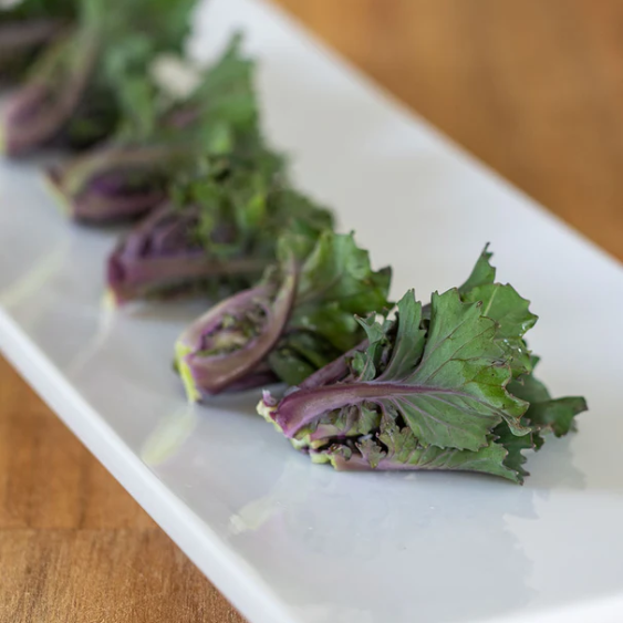 Kalettes Autumn Star F1 Kale West Coast Seeds – Blue Grass Nursery ...