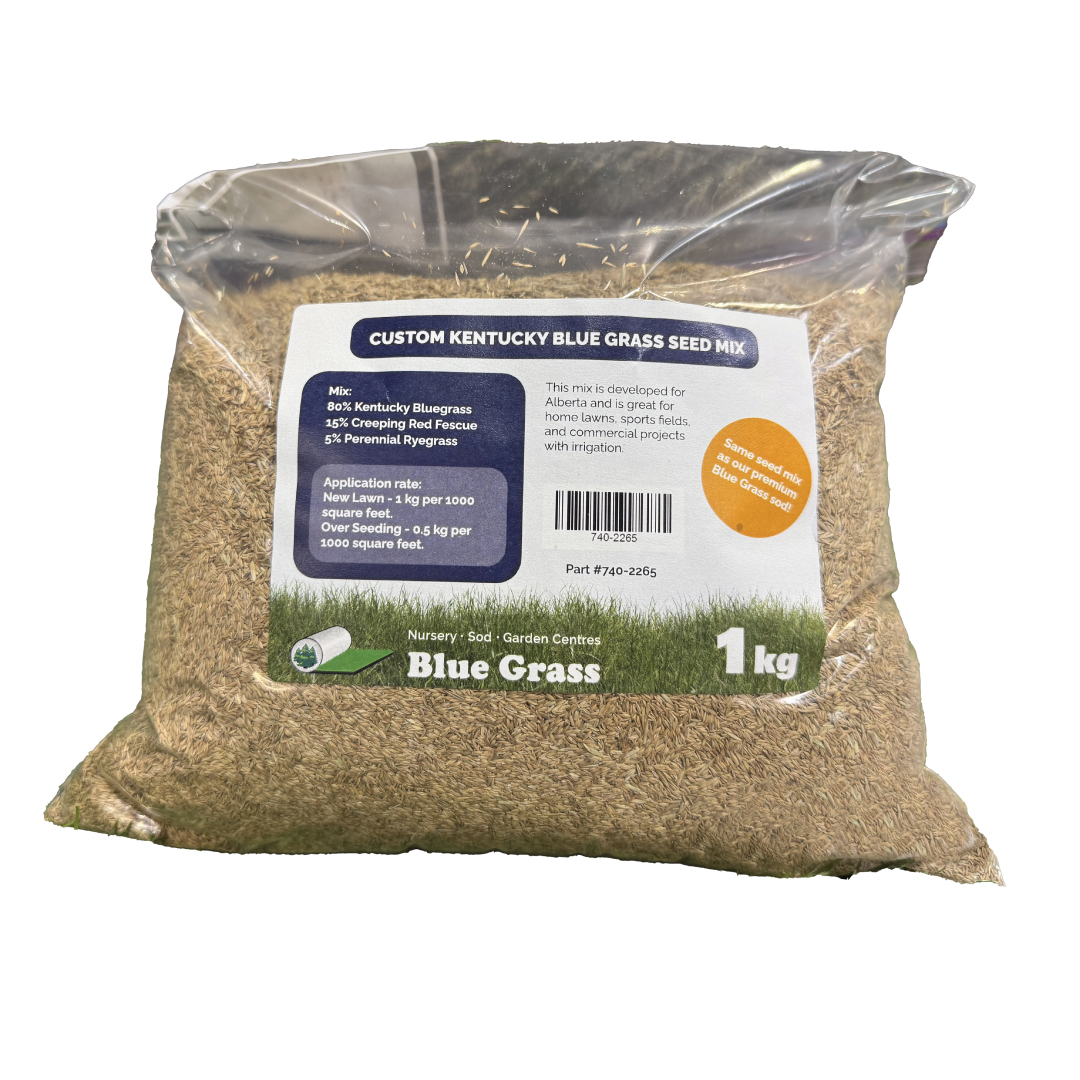Blue Grass Custom Mix Grass Seeds 1 kg – Blue Grass Nursery & Garden ...
