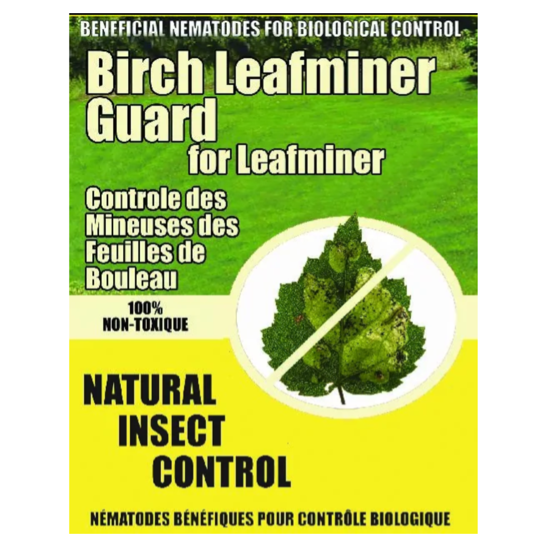 Birch Leafminer Guard – Blue Grass Nursery & Garden Centre: Calgary ...