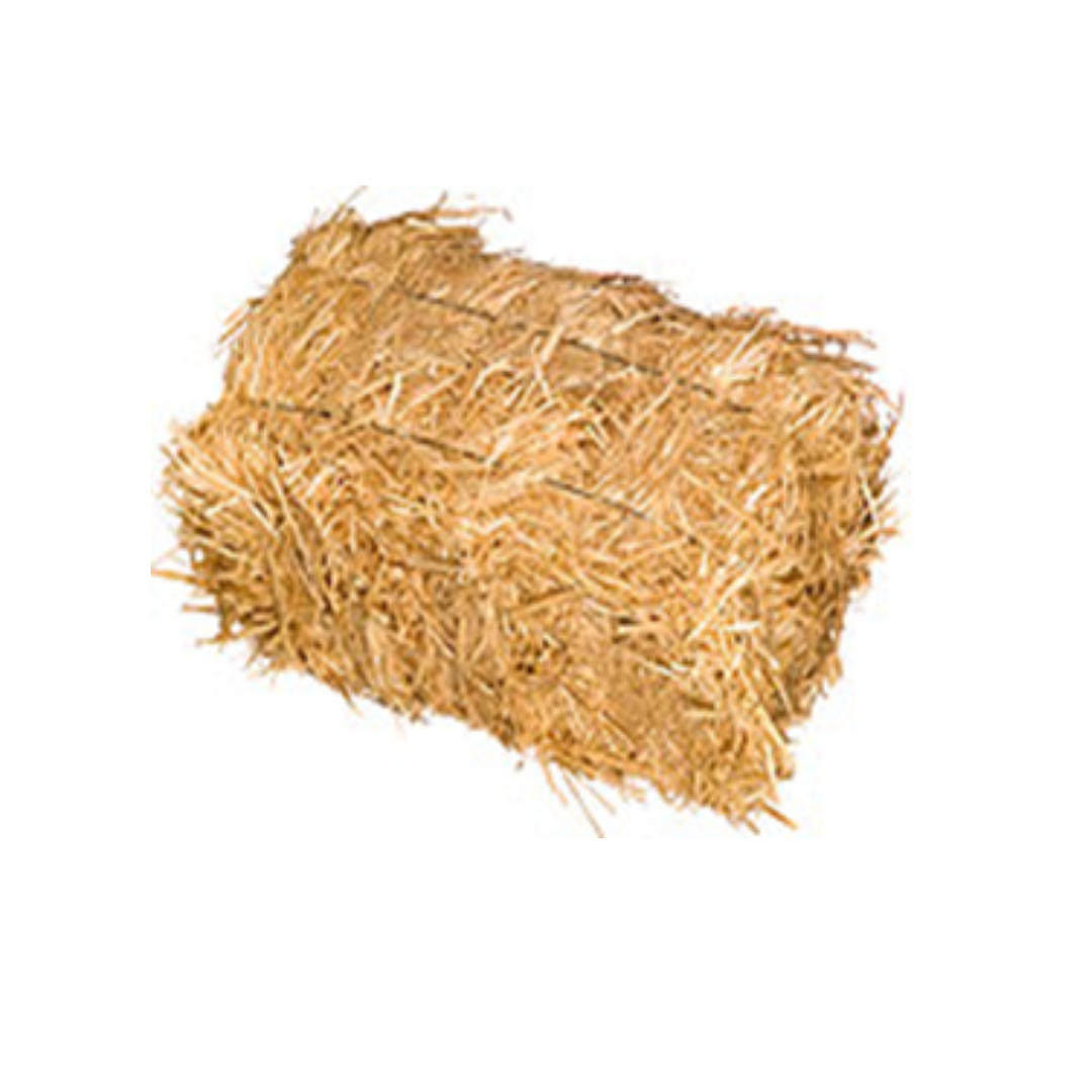 Straw Bale – Blue Grass Nursery & Garden Centre: Calgary, Edmonton ...
