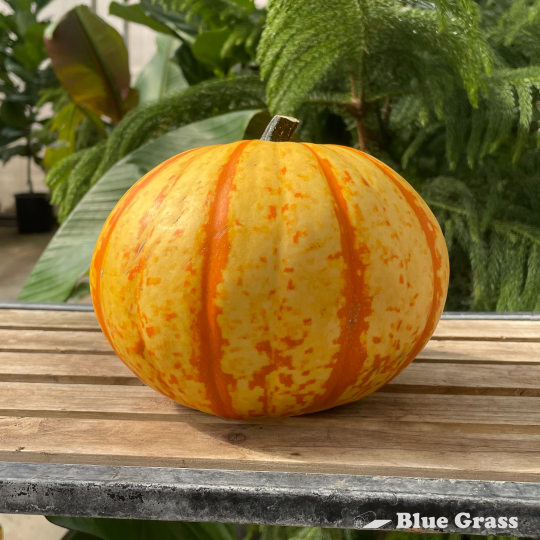 Blue Grass Nursery & Garden Centre: Calgary, Edmonton & Red Deer – Shop ...